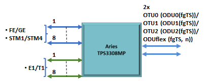 Aries fgOTN Processors